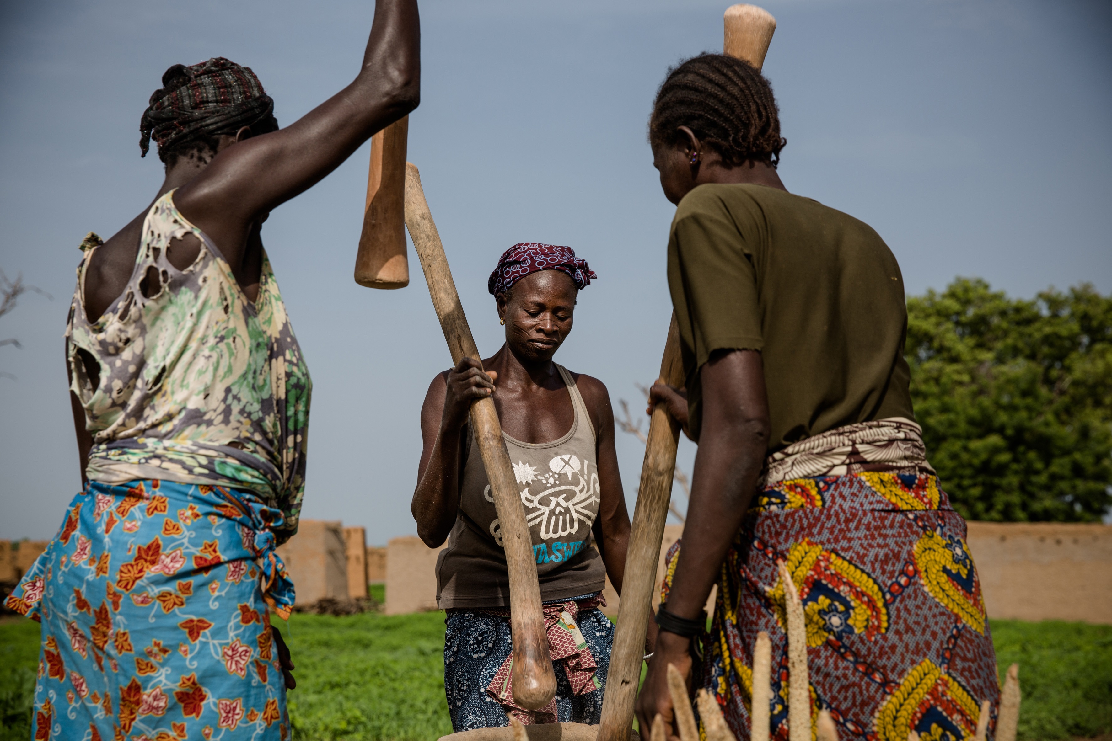 Angola: drought and commercial cattle farming causing devastating ...