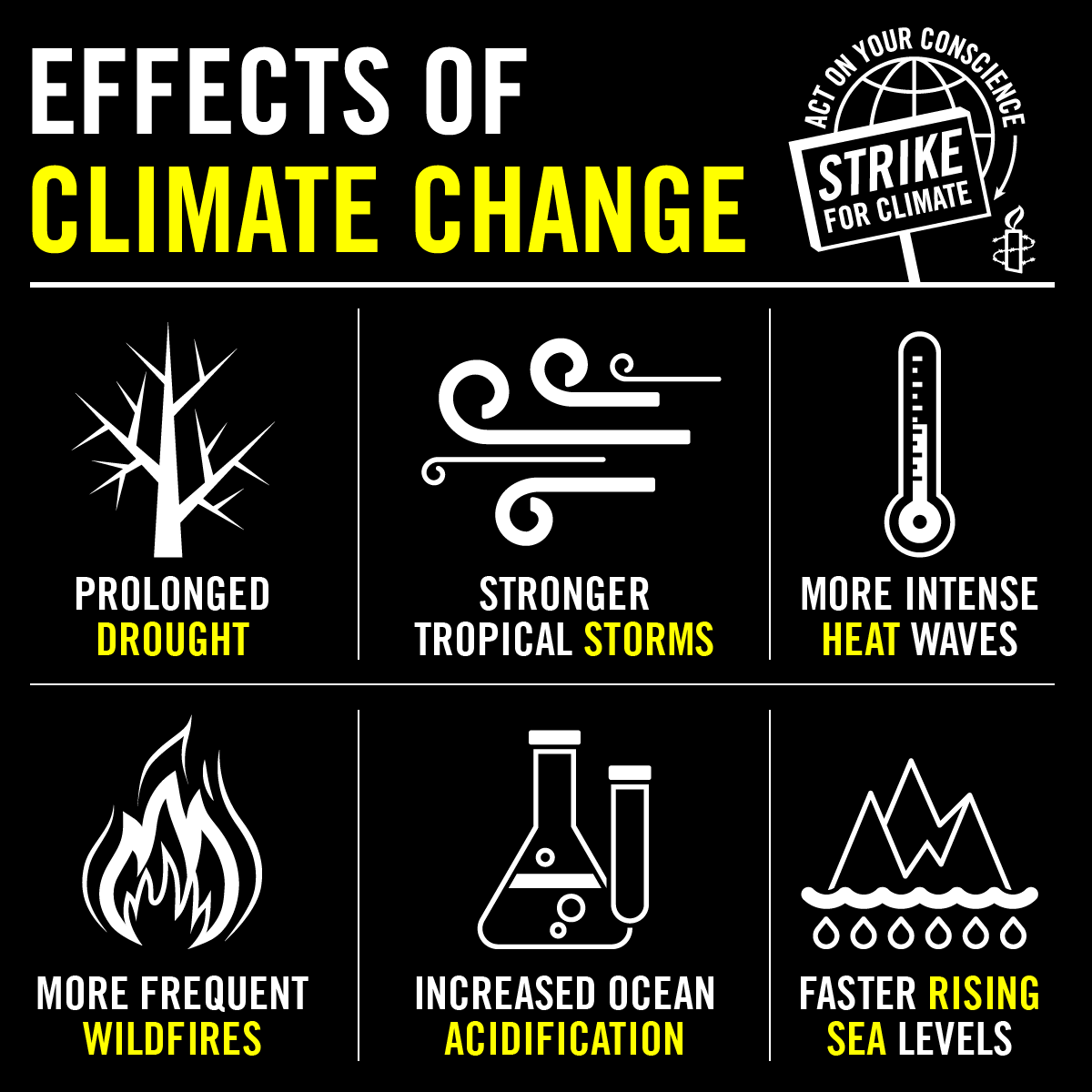 Climate Change and Human Rights Toolkit | Amnesty International UK