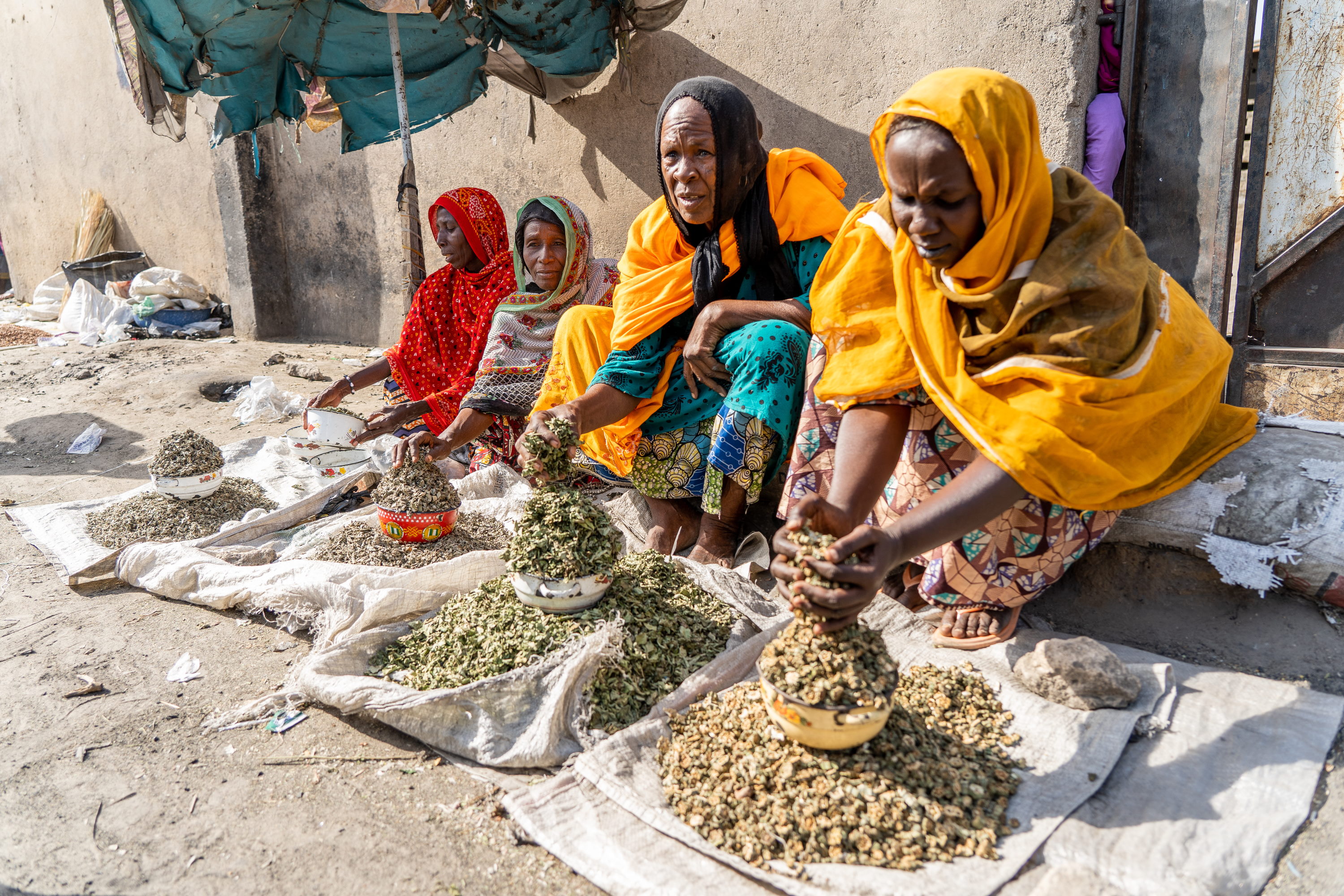 Nigerian Women Working