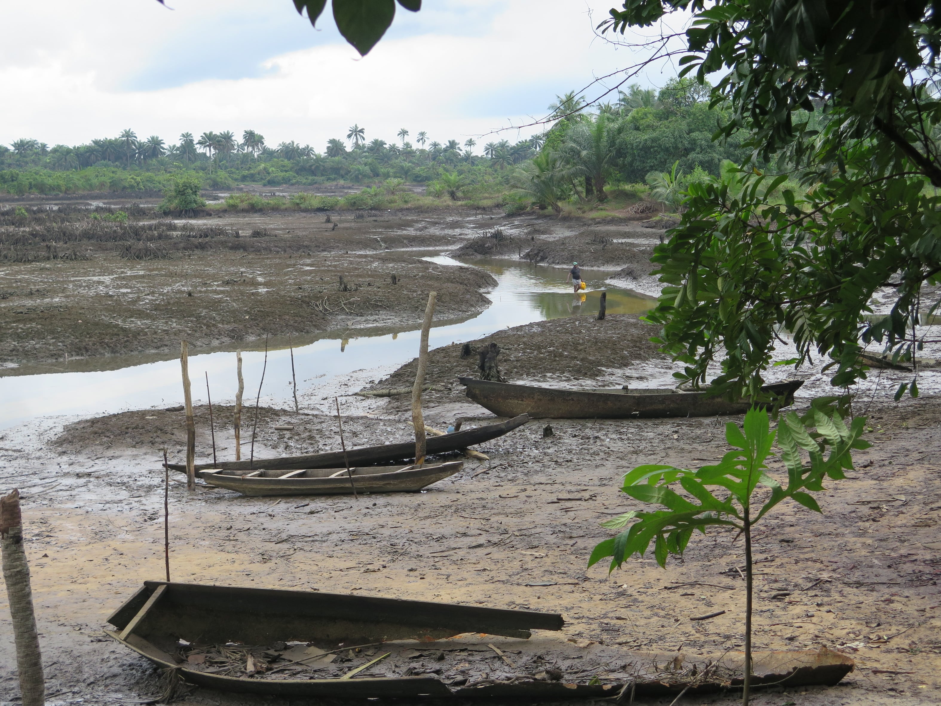 The future of Niger Delta communities in the face of Shell divestment